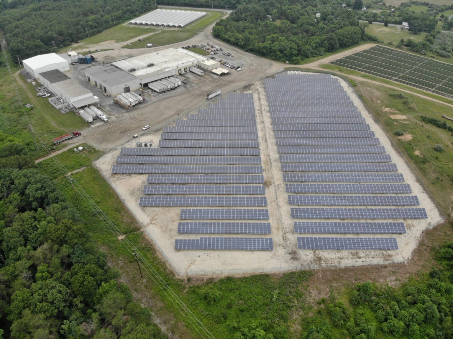 Sustainability – Procacci Brothers Sales Corp