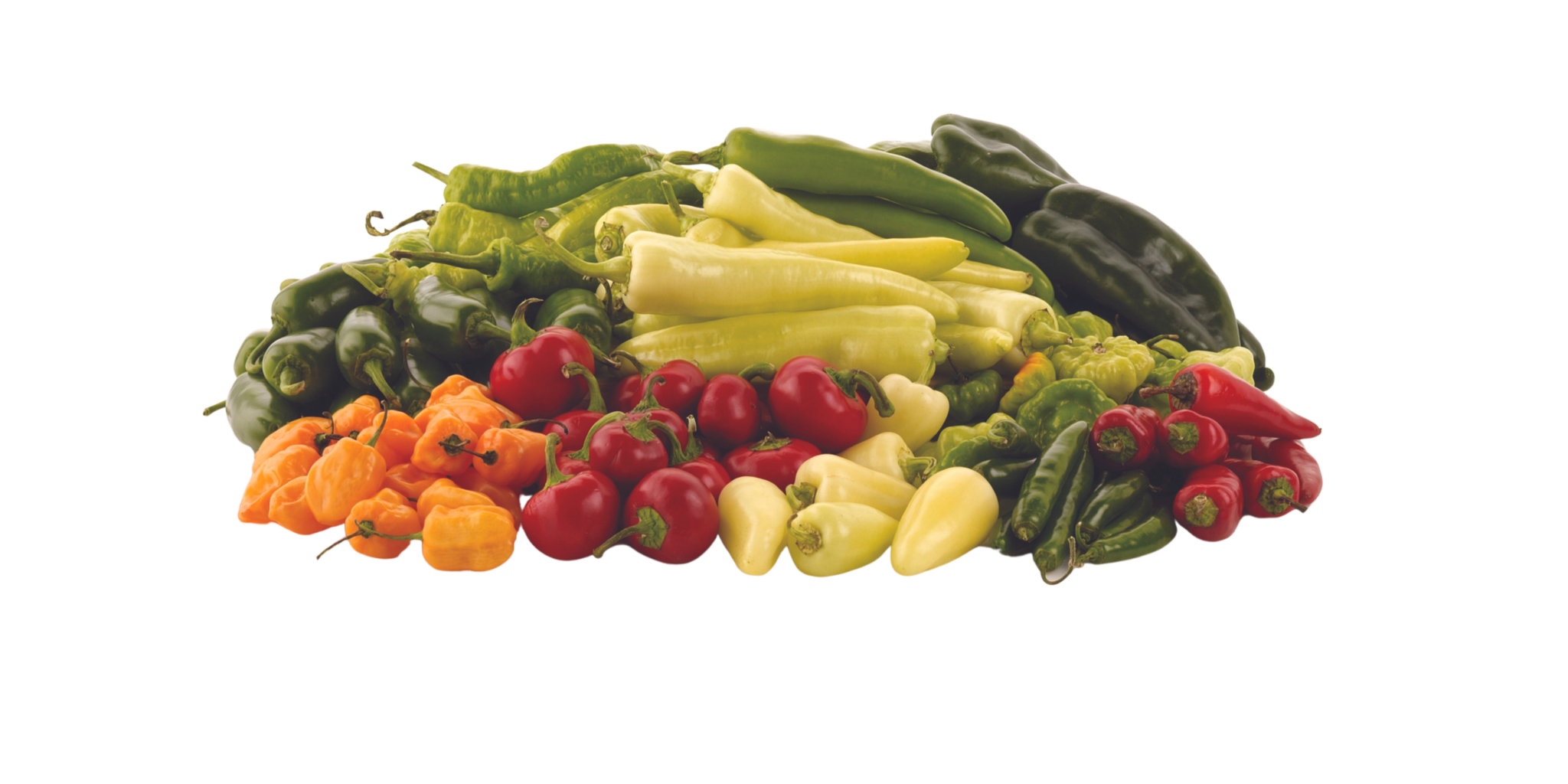 Tropical Produce – Procacci Brothers Sales Corp