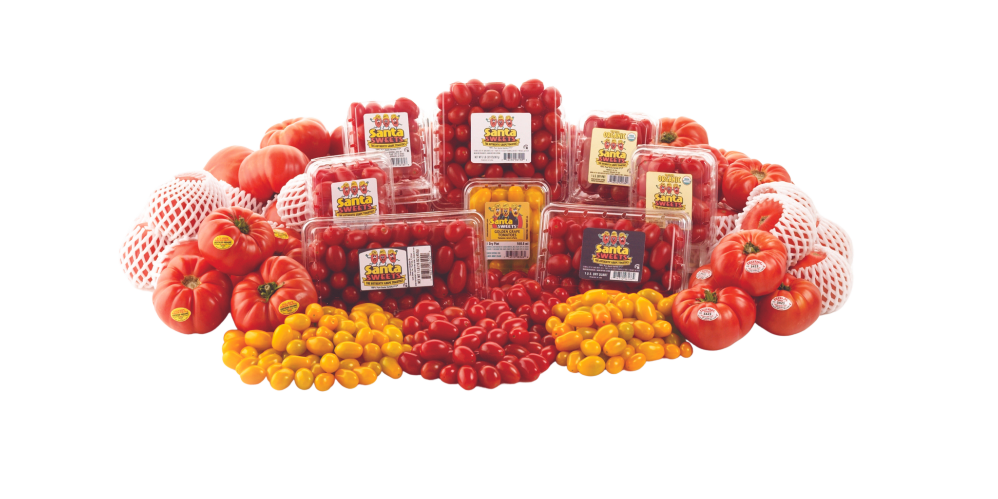 Tomatoes – Procacci Brothers Sales Corp