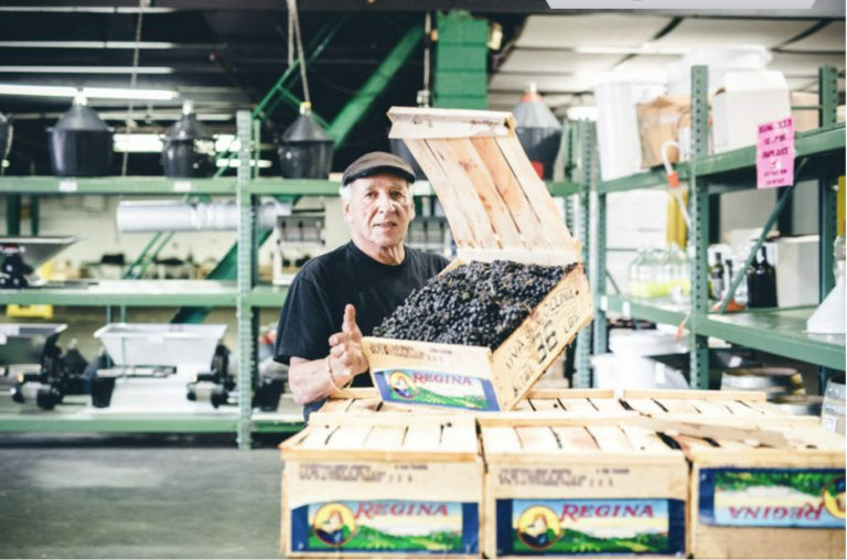 Wine Grapes & Grape Juice – Procacci Brothers Sales Corp