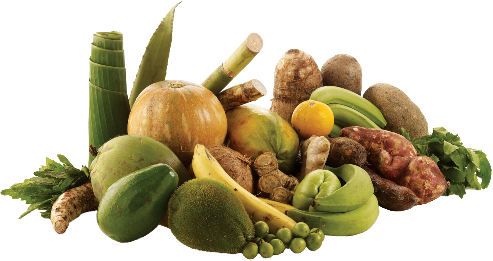 Tropical Produce – Procacci Brothers Sales Corp