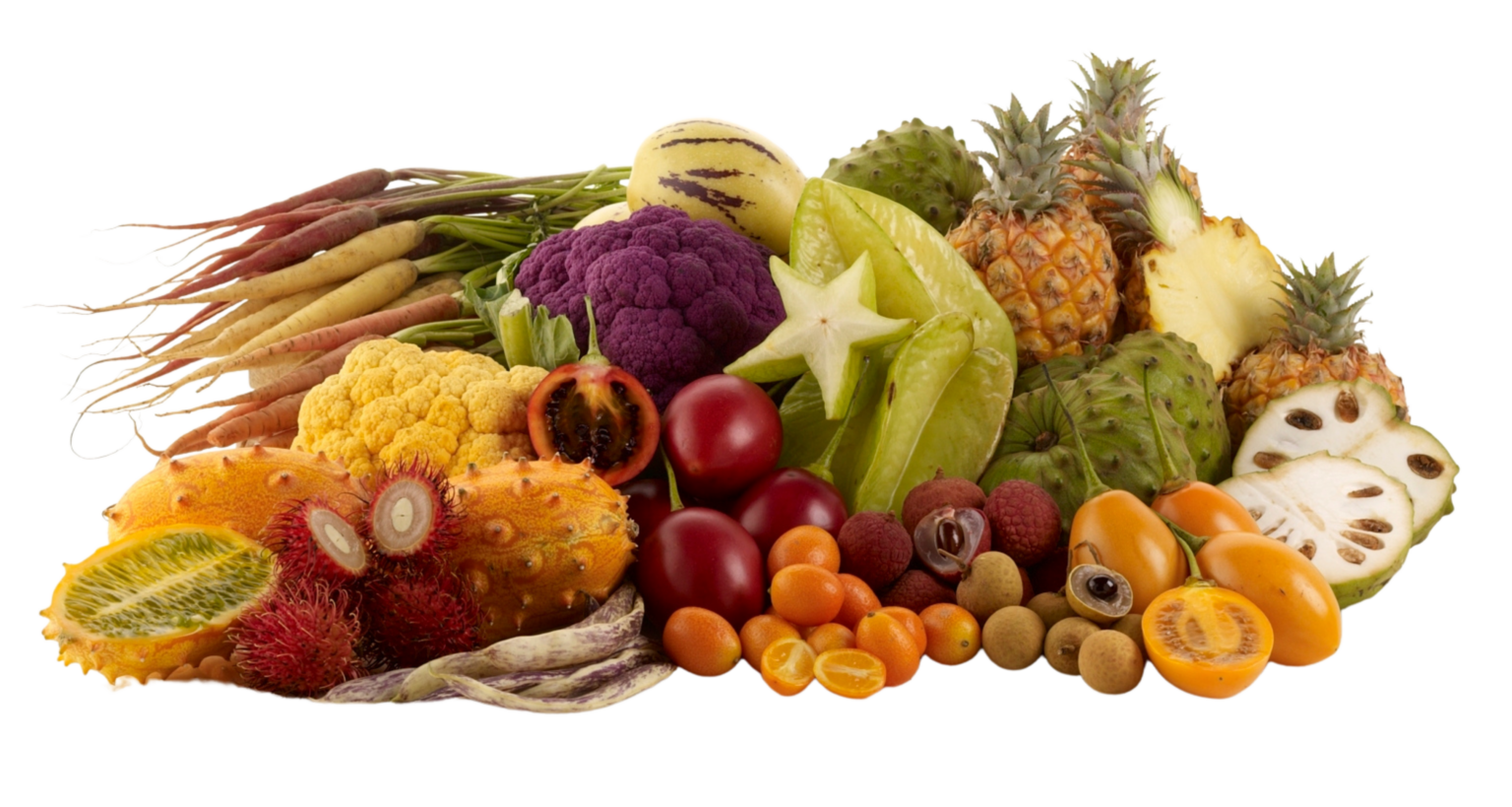 Exotics & Specialties – Procacci Brothers Sales Corp