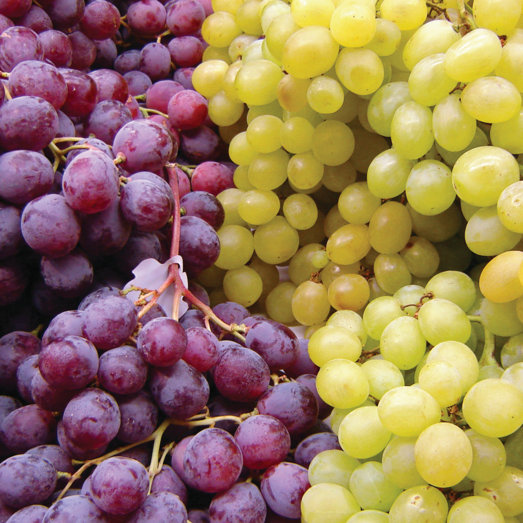 Certified Organics – Procacci Brothers Sales Corp