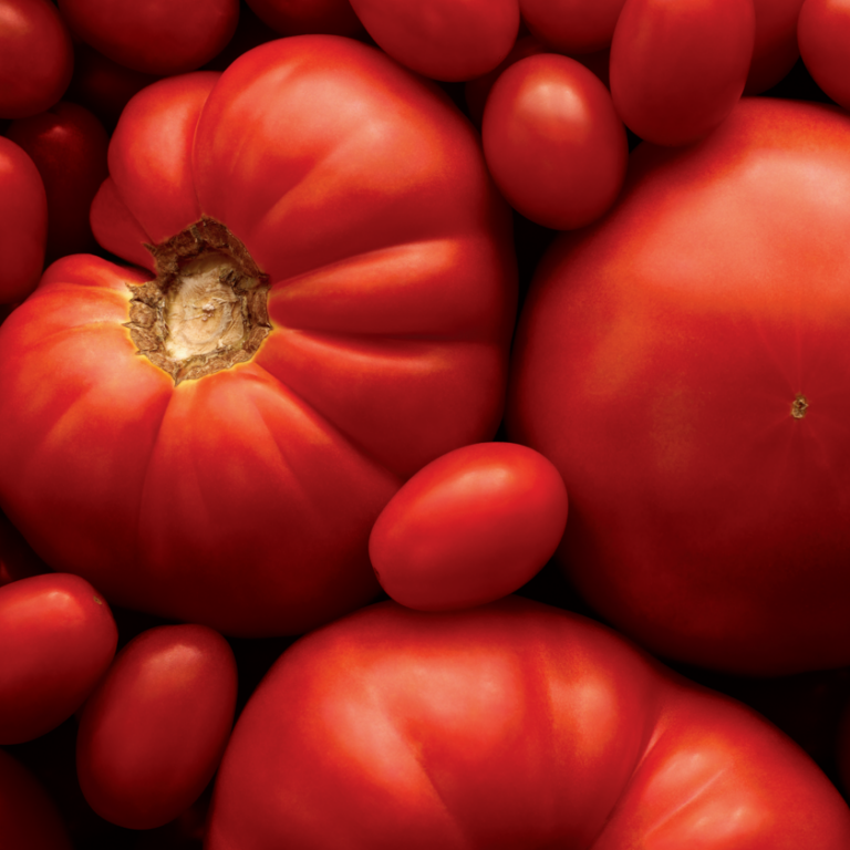 Products – Procacci Brothers Sales Corp