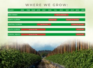 Products – Procacci Brothers Sales Corp